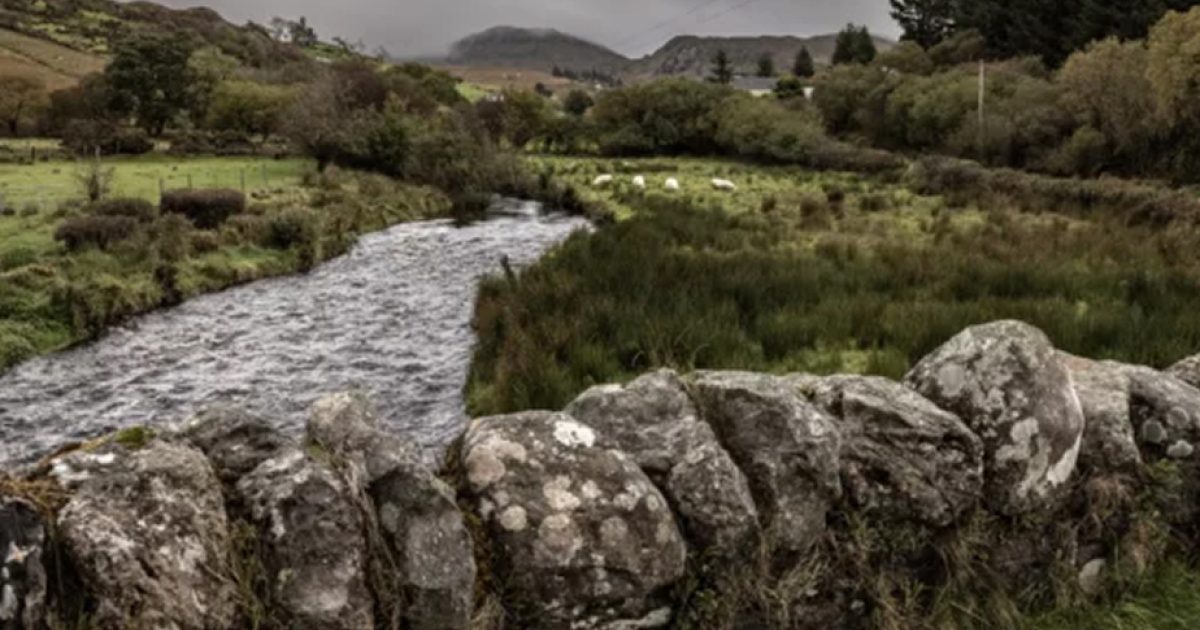 Searching for Brian Friel, and His Mythical… | Irish Repertory Theatre